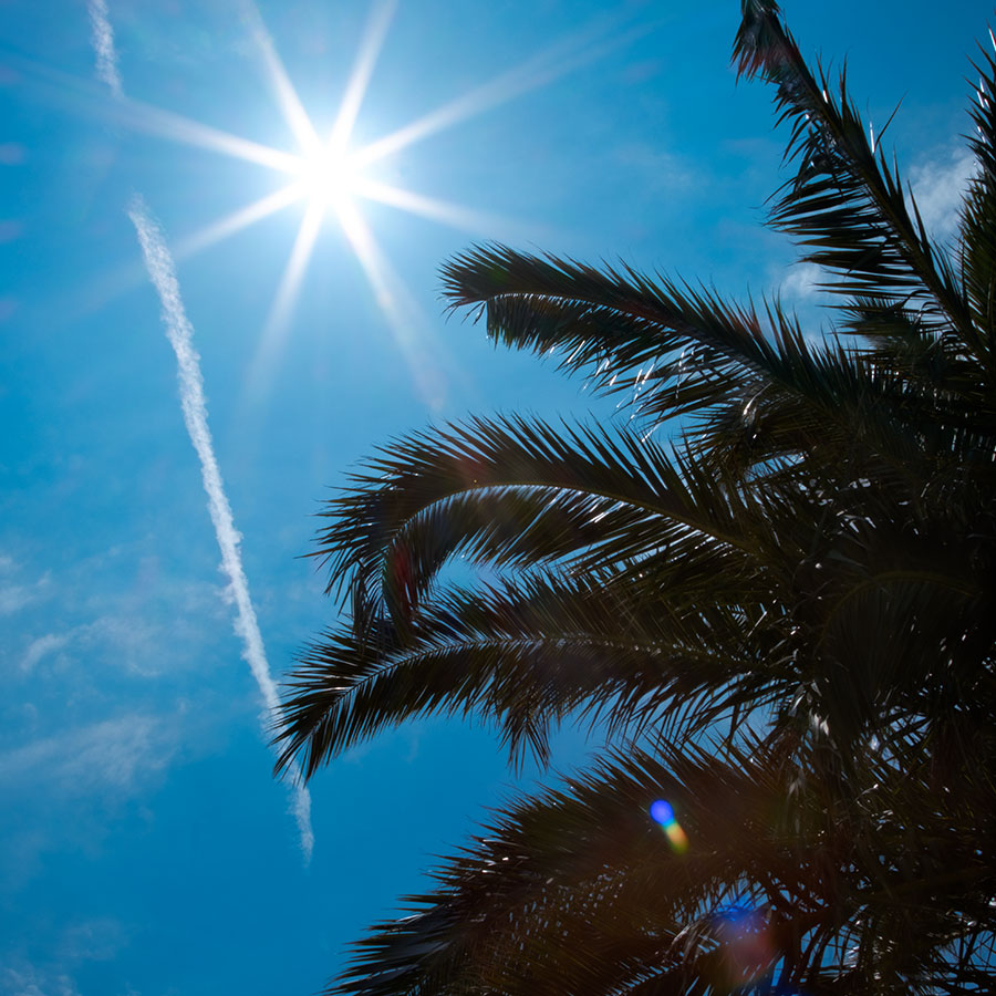 Fred jewelry- Fred Samuel